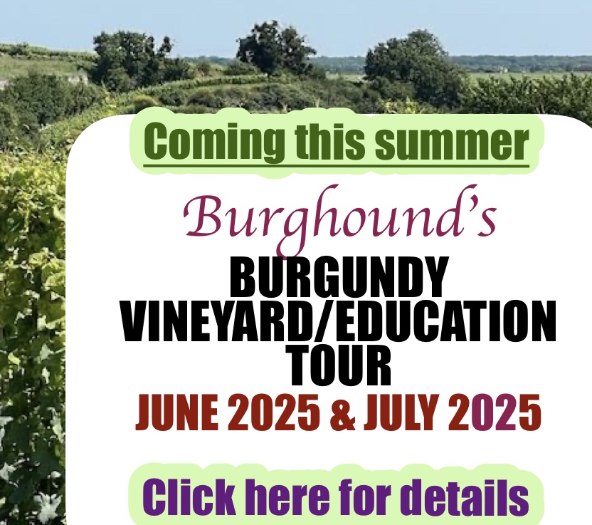 BURGHOUND.com – The ultimate Burgundy reference